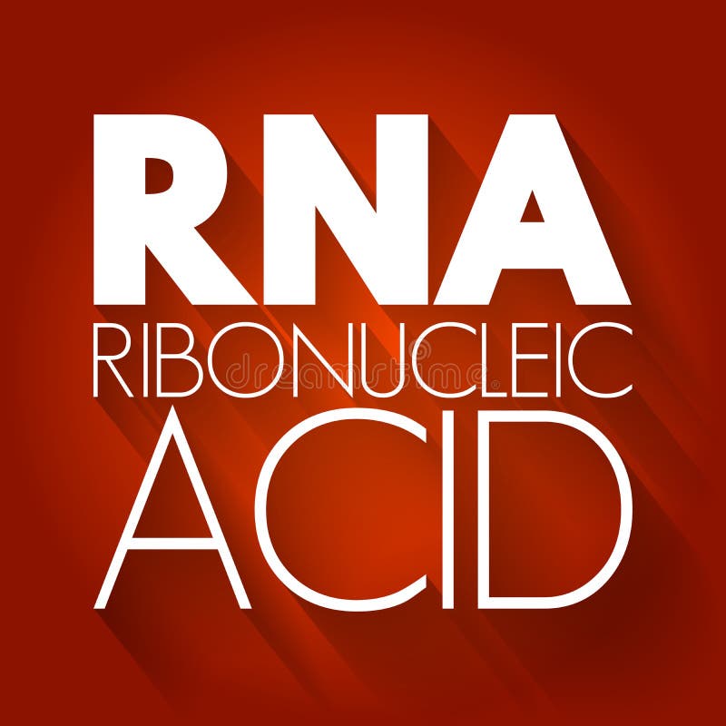 RNA - Ribonucleic Acid Acronym, Medical Concept Background Stock ...