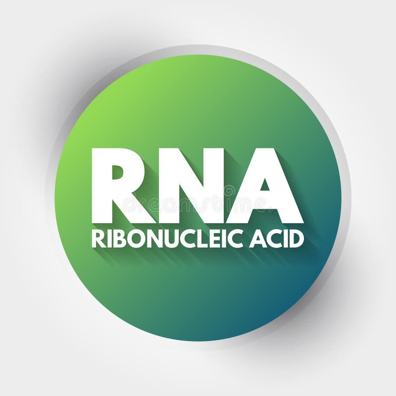 RNA - Ribonucleic Acid Acronym, Medical Concept Background Stock ...