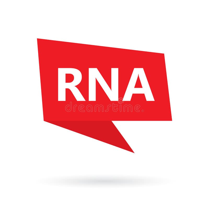 RNA Ribonucleic Acid - Polymeric Molecule Essential in Various ...