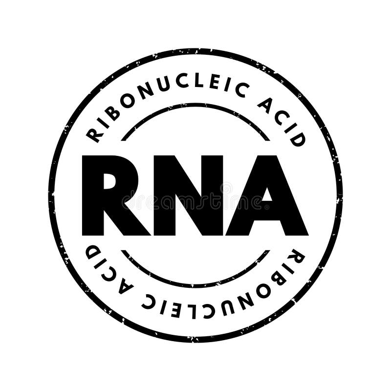 RNA Ribonucleic Acid - Polymeric Molecule Essential in Various ...