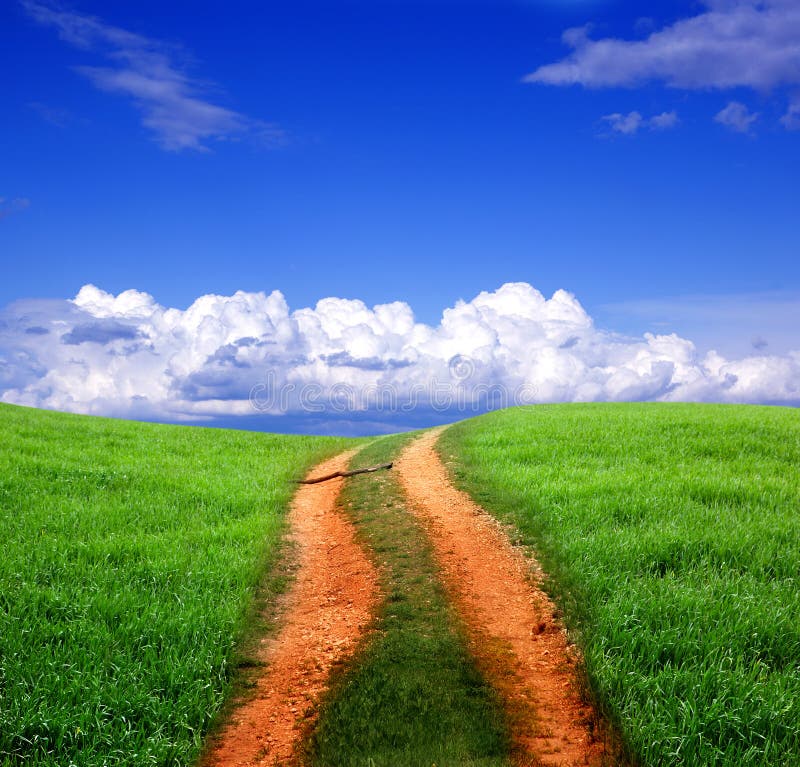 Crossroads in sunset time stock photo. Image of flowers - 19440144