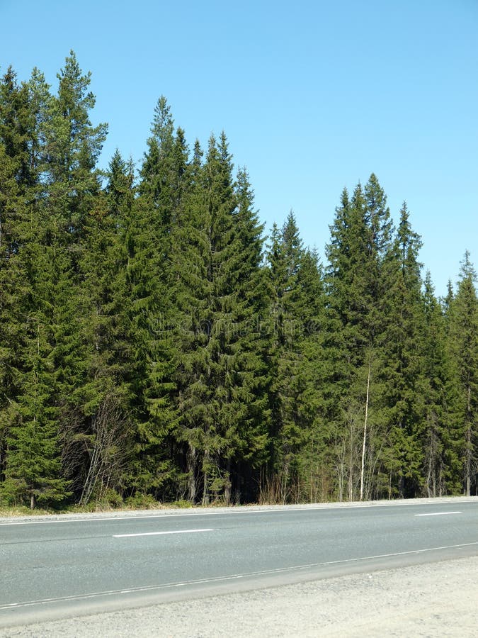 Road stock photo. Image of spring, highway, season, leave - 14434942