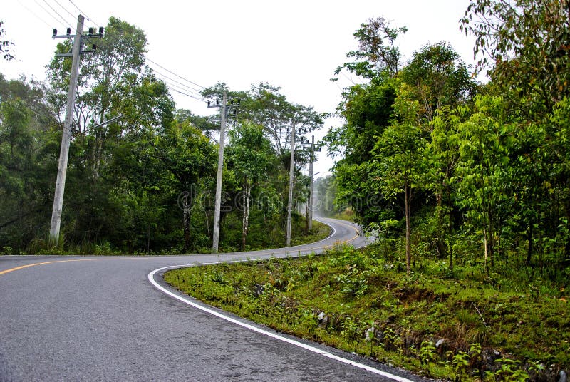 Transamazonic highway stock photo. Image of amazonic, development - 1135096