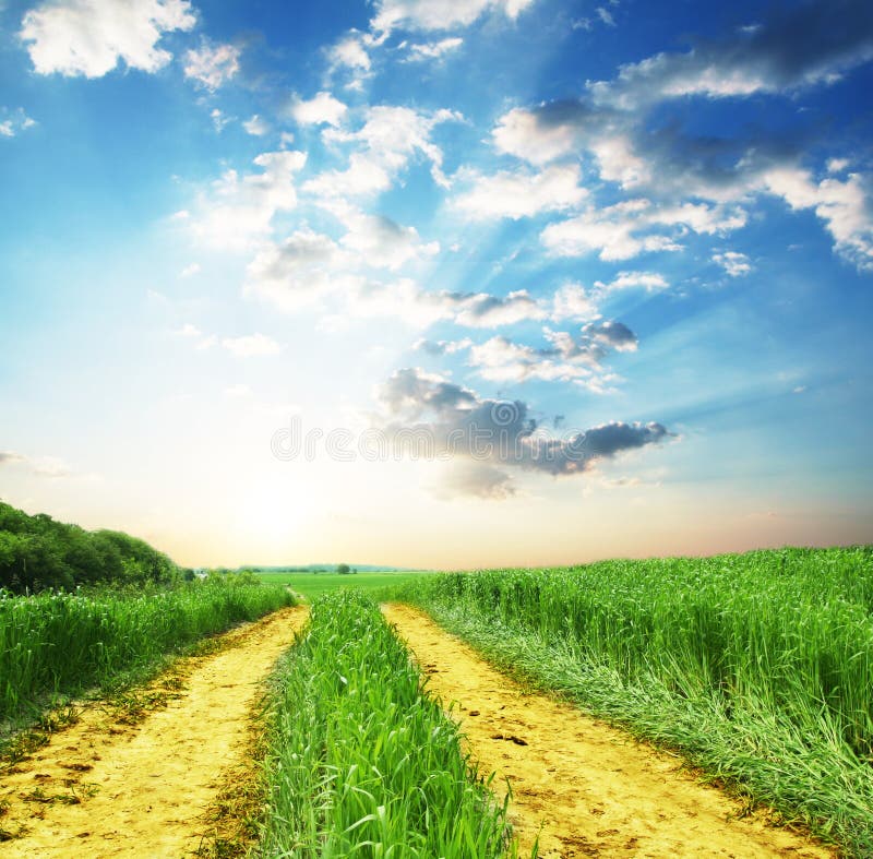 Road in field stock photo. Image of adventure, landscapes - 7892042