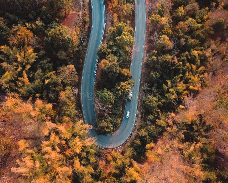 The Road from Above in the Evening Orange Forest Stock Photo - Image of ...