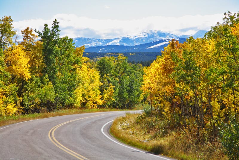 The Road Abruptly Turns among Trees Stock Image - Image of journey ...