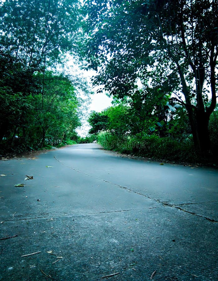 Access Road stock photo. Image of community, concreteroad - 110367196