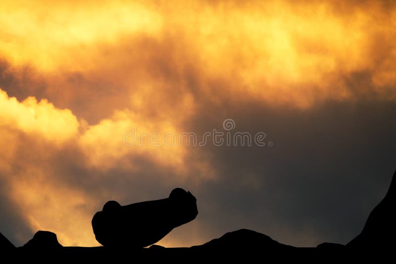 Road accident with a car stock image. Image of fall - 191046161