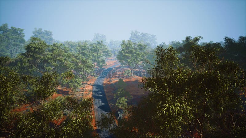 Road in Aerial View with Green Plants and Trees Around Stock Photo ...