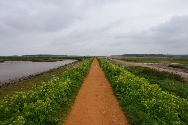 The Road Ahead Straight Pathway in Norfolk Stock Image - Image of ...