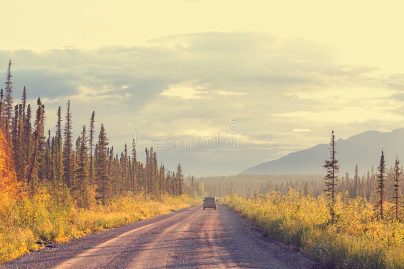 Road in Alaska stock image. Image of alaskan, forest - 262951249