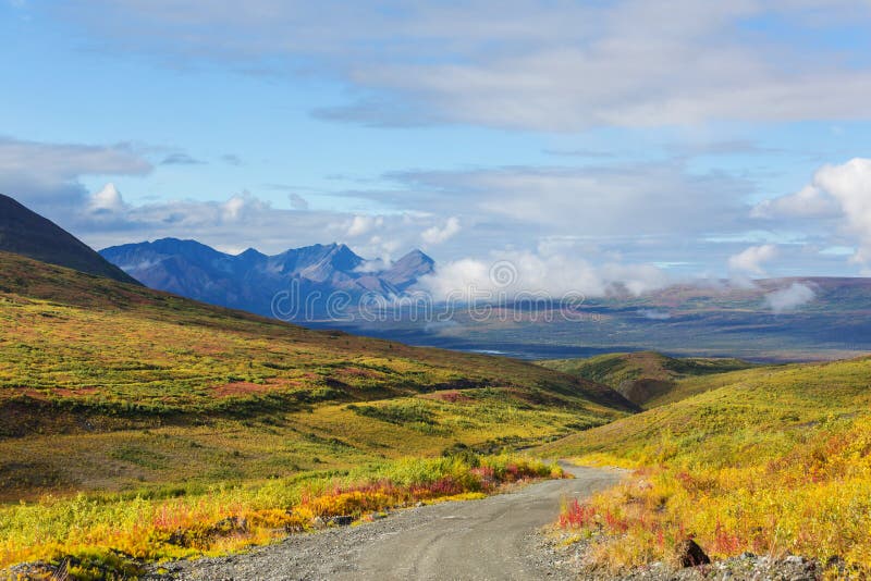 Road in Alaska stock photo. Image of nature, outback - 264627874