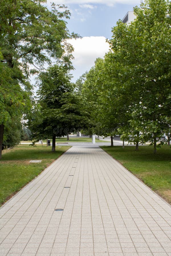 The Road Along Greenery and Trees Stock Photo - Image of summer, plant ...