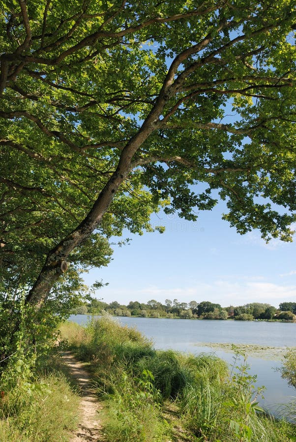 Road along pond stock photo. Image of tree, daytime, pond - 17364298