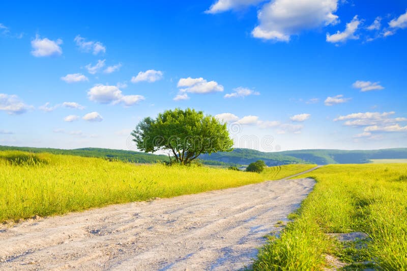 Road amongst green meadow stock photo. Image of outside - 25178252
