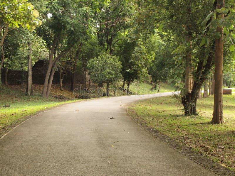 Road and around trees stock image. Image of sadness - 187316947