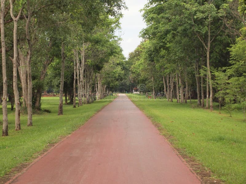 Road and around trees stock image. Image of deciduous - 188977231