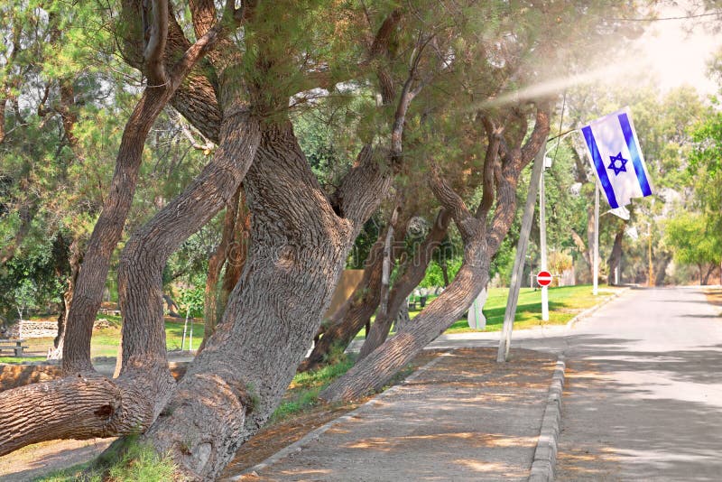 Road in Ashkelon National Park, Israel Stock Image - Image of morning ...