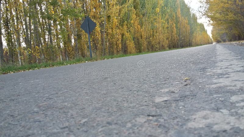 Road, Asphalt, Path, Road Surface Picture. Image: 127905284