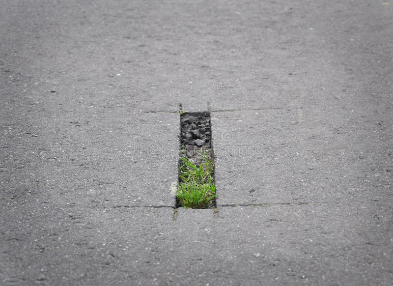 Road Asphalt Testing (pavement Sampling) and Grass Stock Photo - Image ...