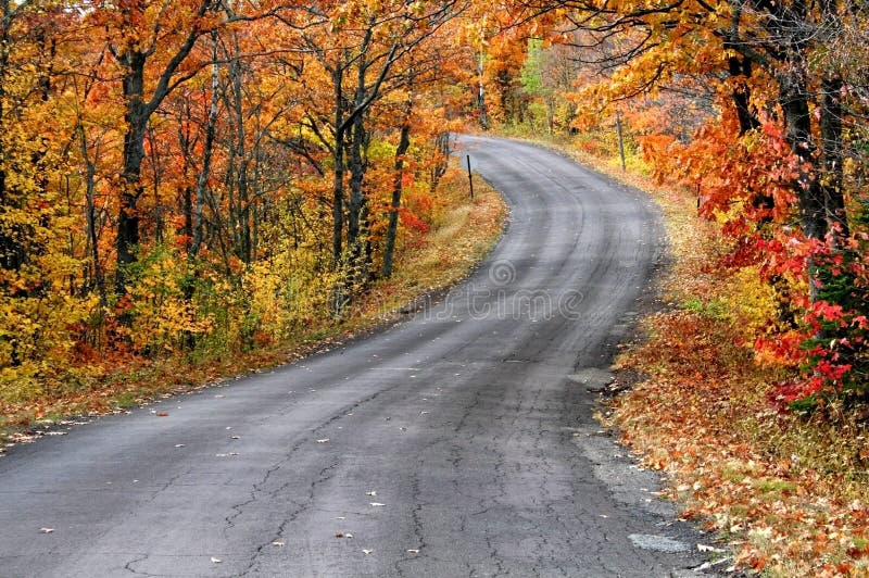 Road through autumn stock photo. Image of nature, fall - 1379306