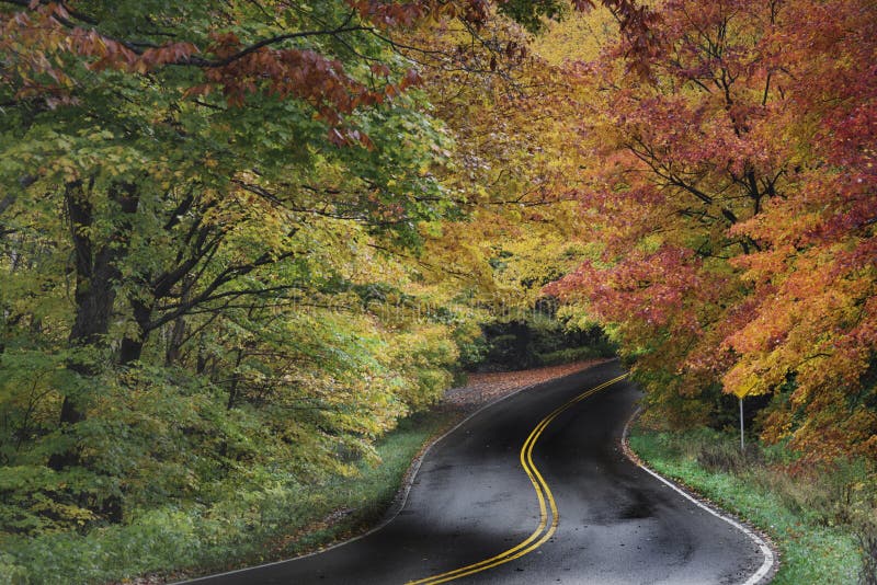 Road in Autumn stock photo. Image of season, scenic, byway - 27311796