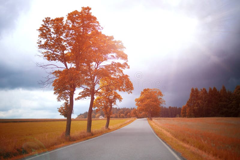 Road in Autumn stock image. Image of path, park, alley - 28863909