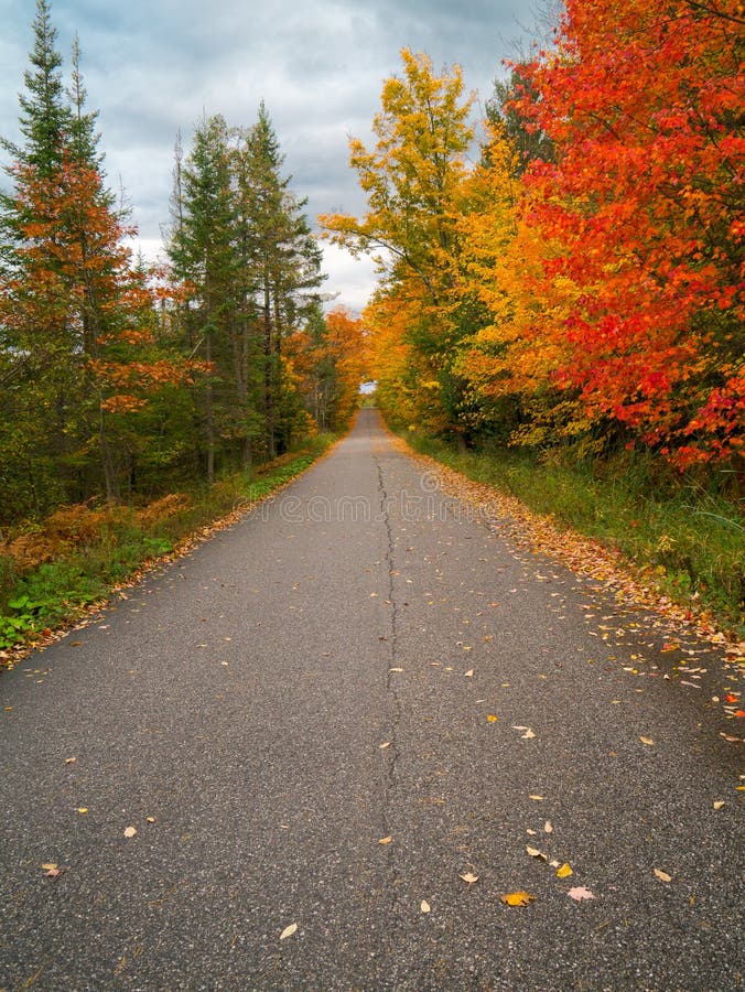 Road through autumn forest stock photo. Image of roadway - 27081056