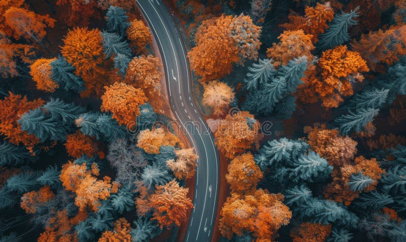 Road through Autumn Forest, View from Above. Travel Concept Stock ...