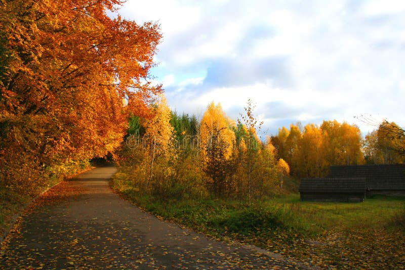 Road, Autumn Landscape stock image. Image of green, beauty - 1523997