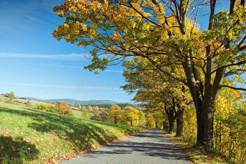 Country Road, Fall, Corn Fields Stock Photo - Image of highway ...