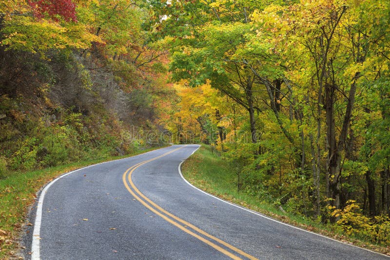 Autumn Country Road stock photo. Image of carolina, land - 7512156
