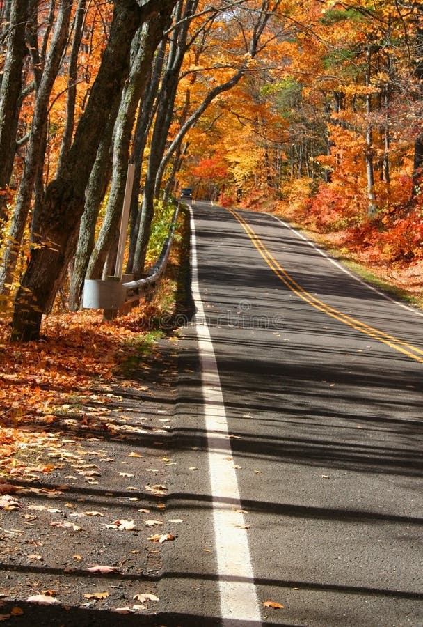 Road through Autumn Trees stock photo. Image of aspens - 3007522