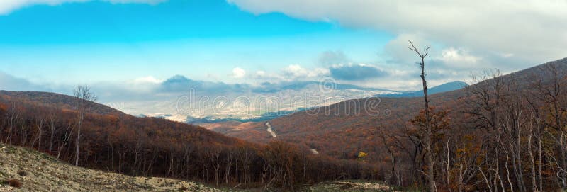 Road between Autumn Yellow Trees on Mountainside Stock Photo - Image of ...