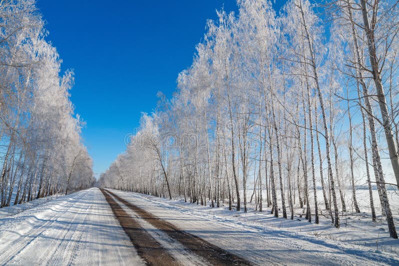 Snow Road stock photo. Image of winter, road, west, cold - 4159316