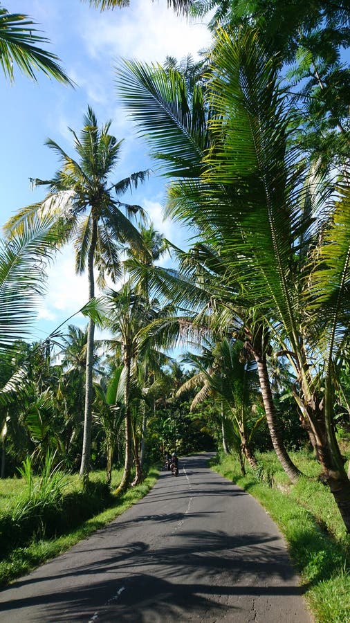 Road Bali stock image. Image of road, bali, indonesia - 96519361