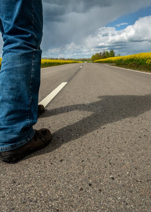 Road beatween fields stock image. Image of farm, farmland - 187482401