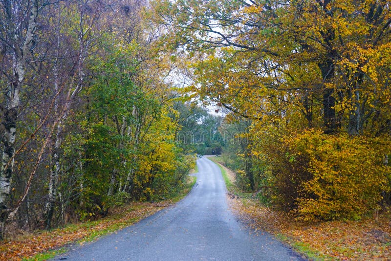 Road stock photo. Image of jylland, colorful, color, nature - 92256350
