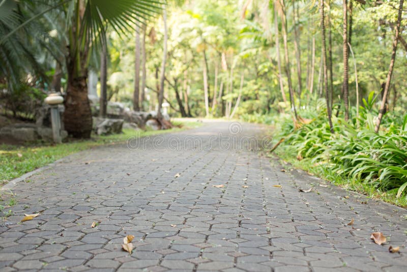 Road in the Beautiful Park Background with Sunlight Stock Image - Image ...