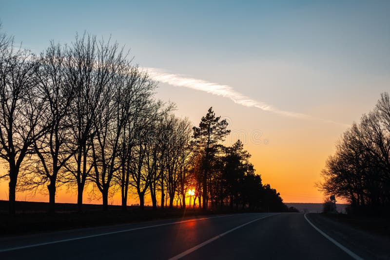 On the Road with Beautiful View of Sunset Surrounding by Trees Stock ...