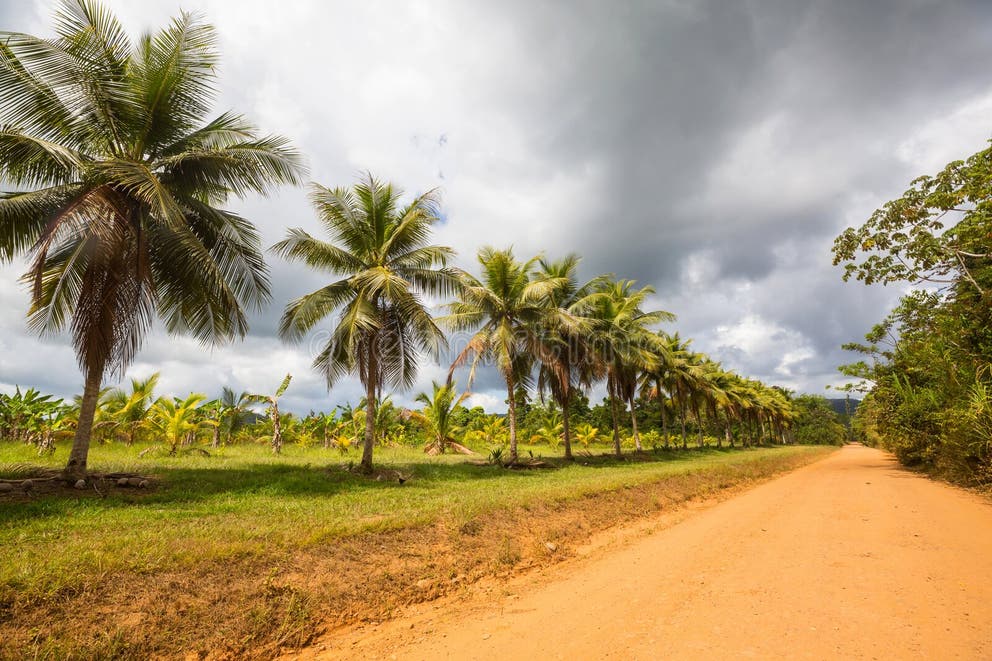 Road in Belize stock photo. Image of green, countryside - 279331162