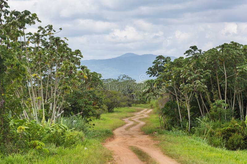 Road in Belize stock photo. Image of road, field, fence - 279331184