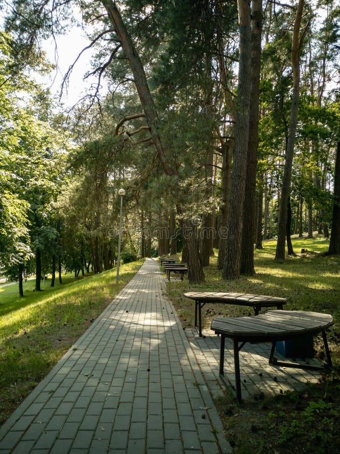 Road and Benches in the City Park. Vertical Photo Stock Image - Image ...