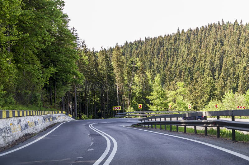 Road bend and a forest stock photo. Image of dense, ideal - 389772594