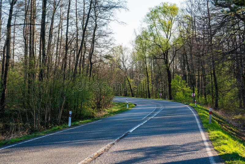 Road with a Bend in the Spring Forest Stock Image - Image of road, tree ...