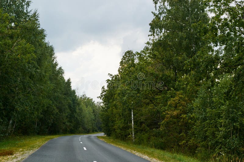 The road stock photo. Image of field, yellow, wheat - 103677610