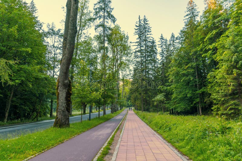 A Road, a Bike Path and a Walking Path Leading Up the Mountain. Stock ...