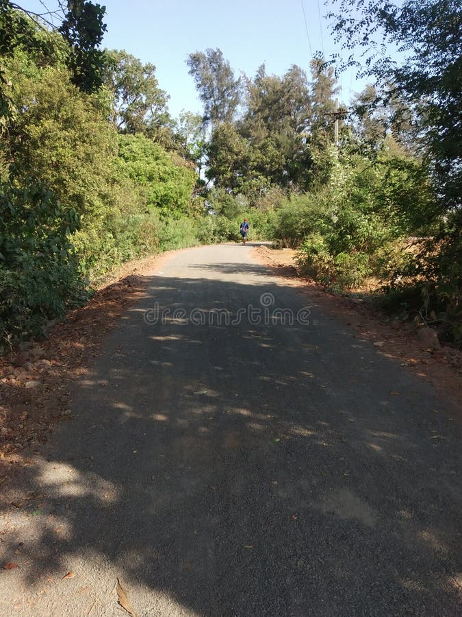 Road black Tree sun sky stock photo. Image of road, tree - 180078380