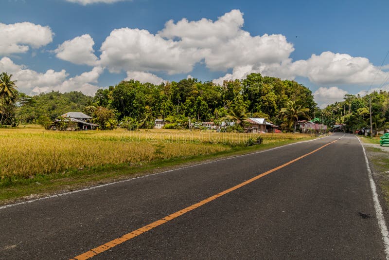 Road on Bohol Island, Philippine Stock Photo - Image of amazing ...