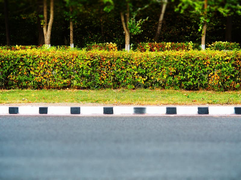 Road Border during Fall Season Transportation Background Stock Photo ...